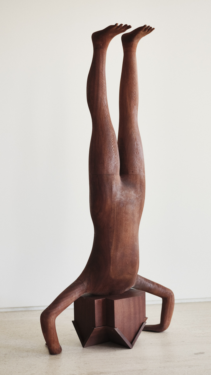 Carlos Bunga. Inhabit the Contradiction – Centro de Arte Moderna